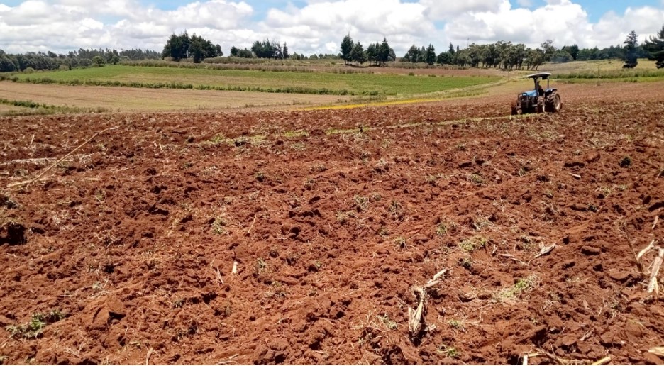 FROM GROUND TO GREATNESS: PREPARING FOR INTERNATIONAL DAY OF POTATO ...