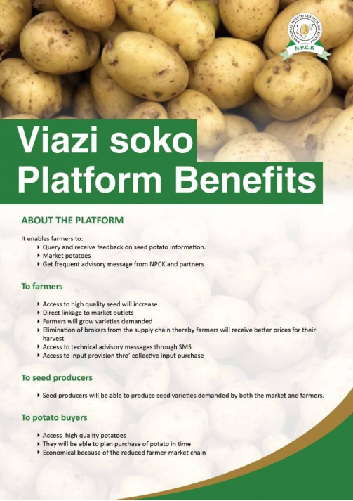 WHY SMART FARMERS ARE SWITCHING FROM MAIZE TO POTATOES – NPCK